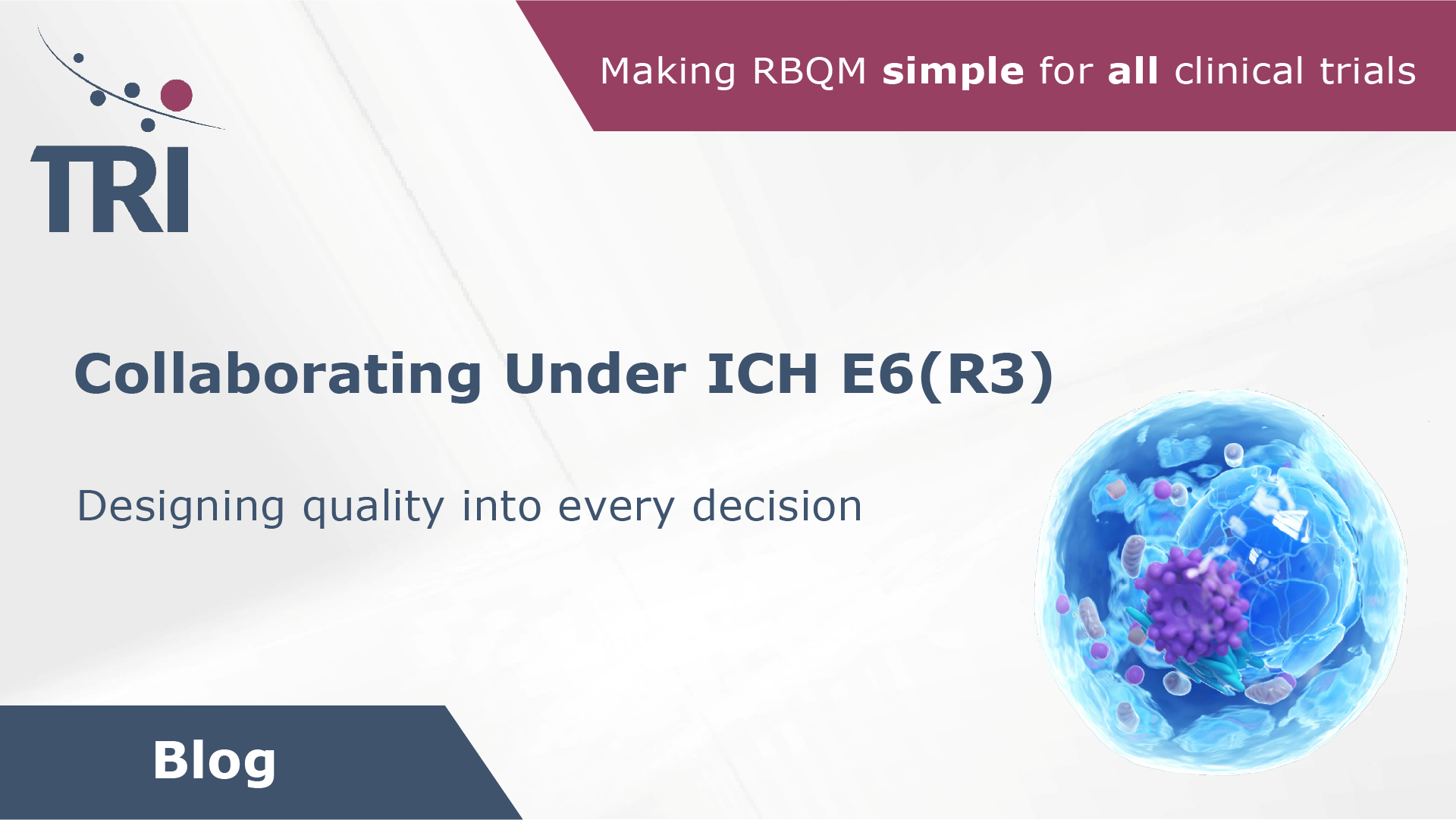 Collaborating Under ICH E6 (R3) - TRI